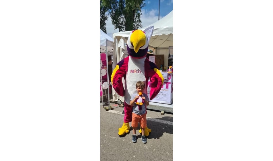 Ouvrir Franchise Mikit : rentabilité ? Constructeur de maison individuelle